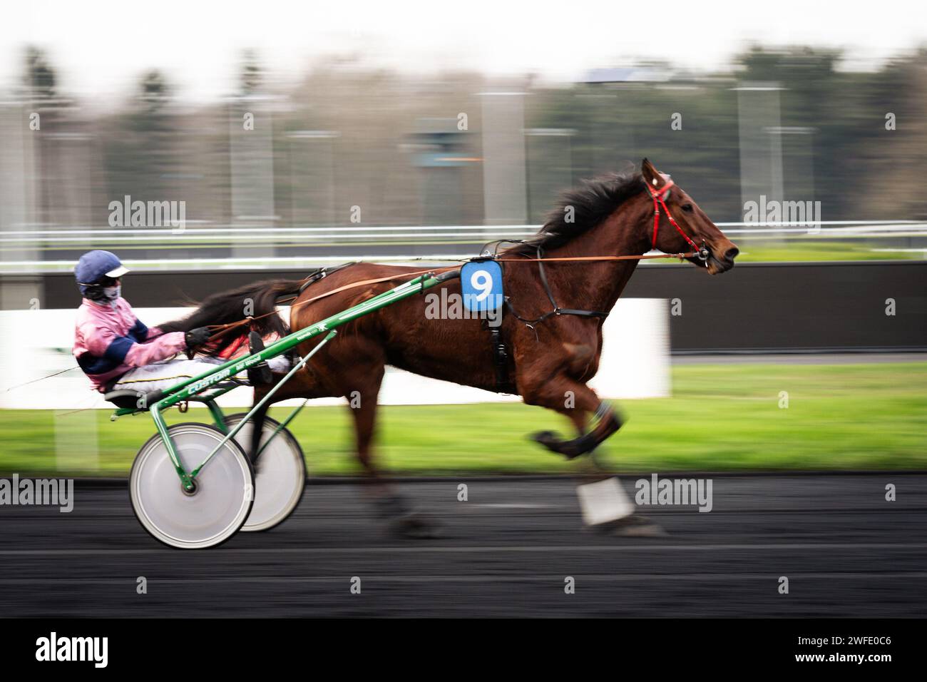 The jockey Eric Raffin and his horse during a trotting racing, at ...