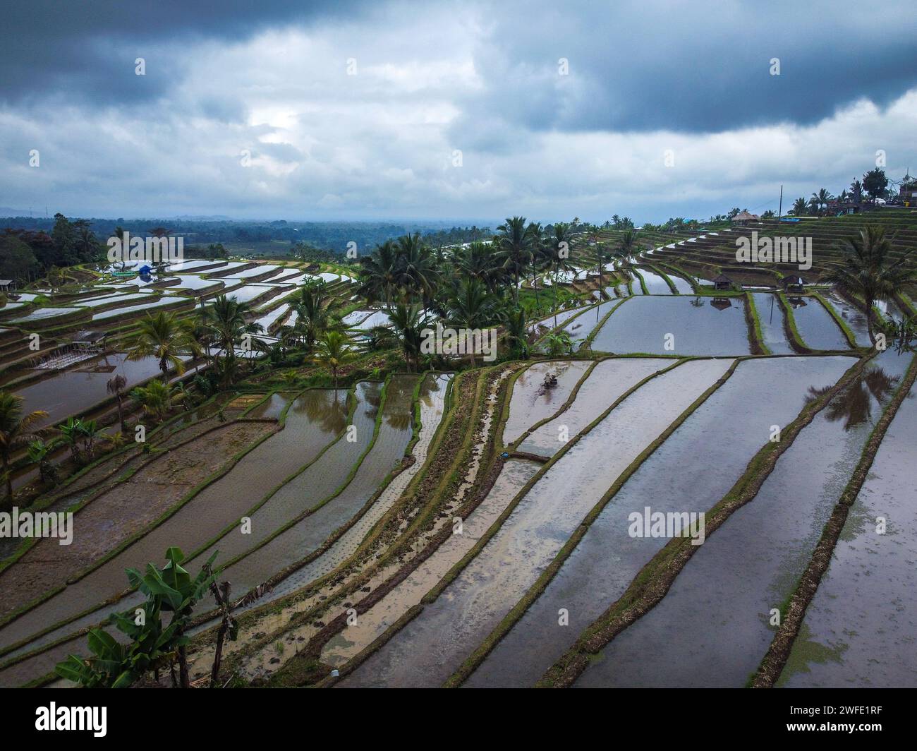 Aerial view of rice terraces of Bali Stock Photo - Alamy