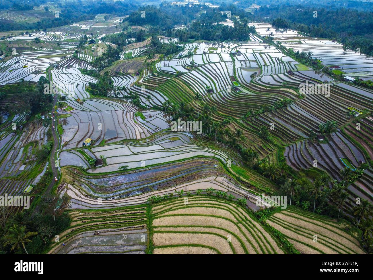 Aerial view rice terraces flying hi-res stock photography and images ...
