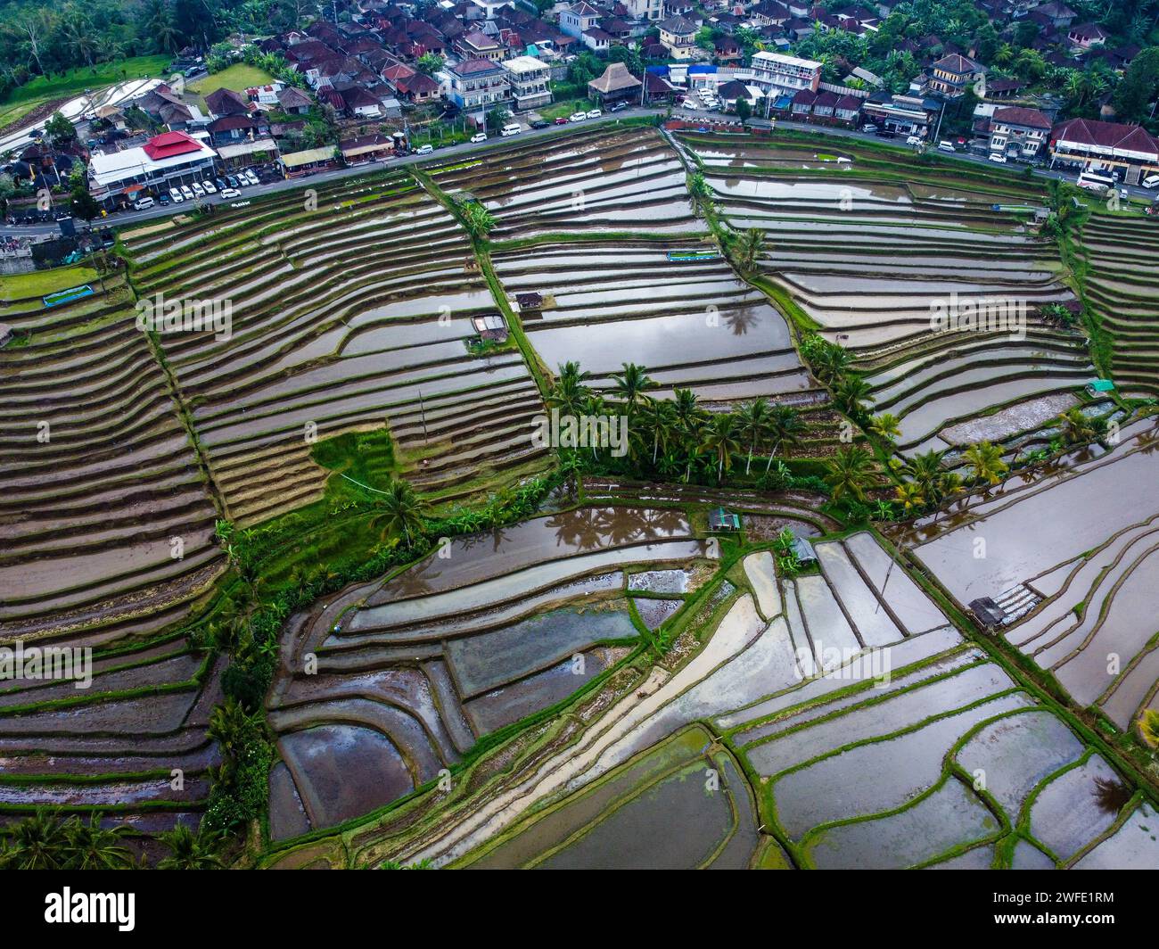 Aerial view rice terraces flying hi-res stock photography and images ...
