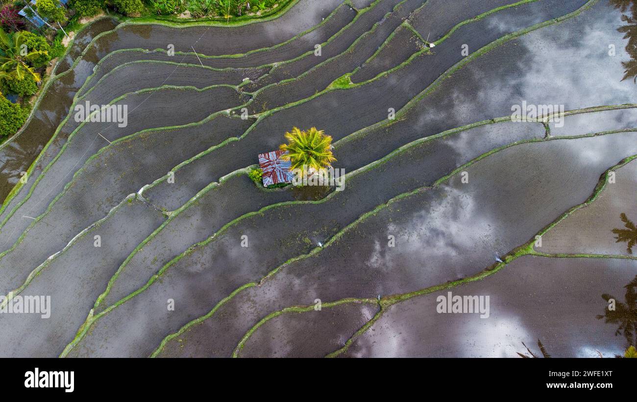 Aerial view rice terraces flying hi-res stock photography and images ...