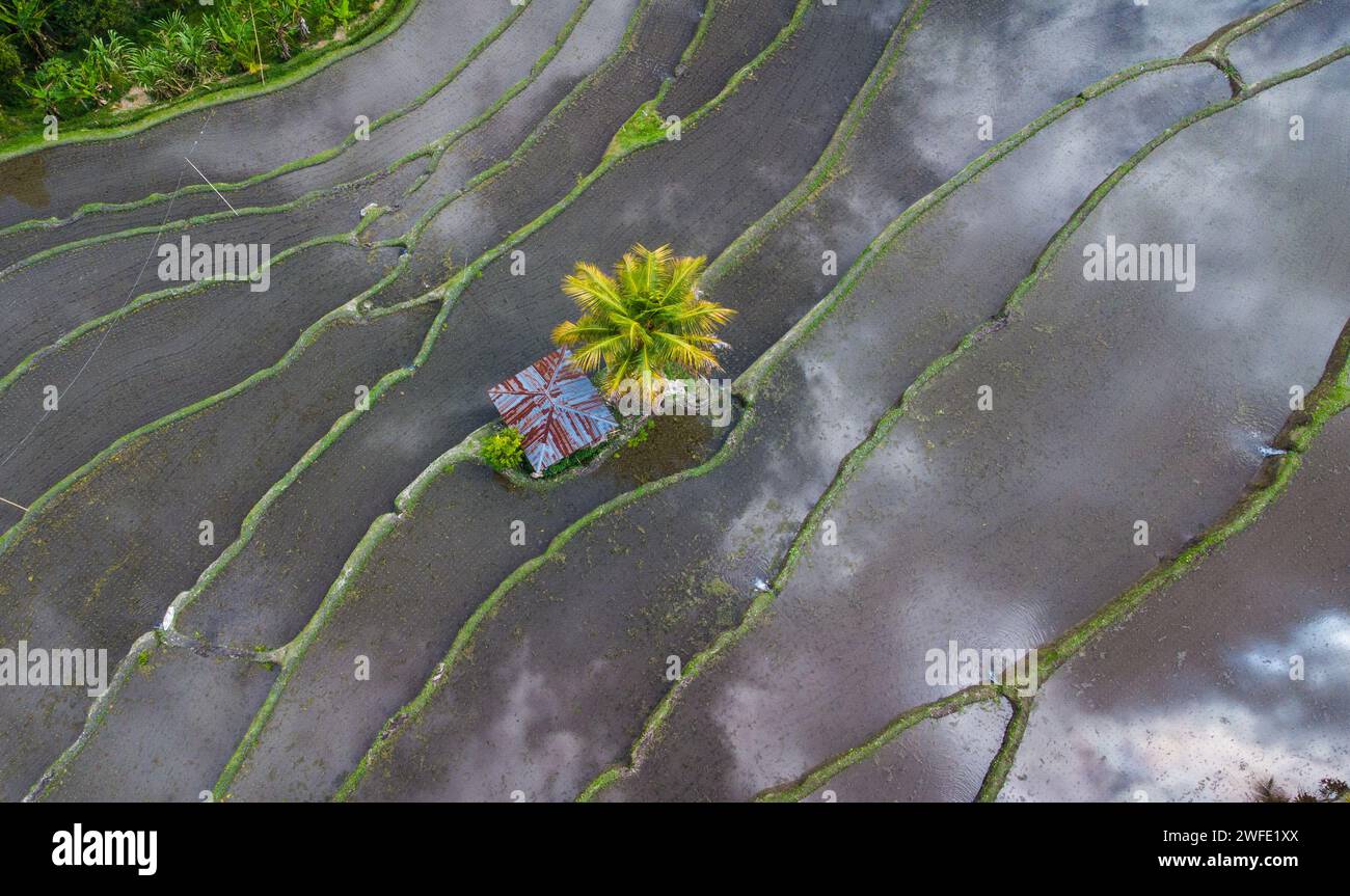 Aerial view rice terraces flying hi-res stock photography and images ...