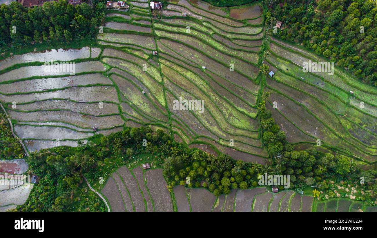 Aerial view rice terraces flying hi-res stock photography and images ...