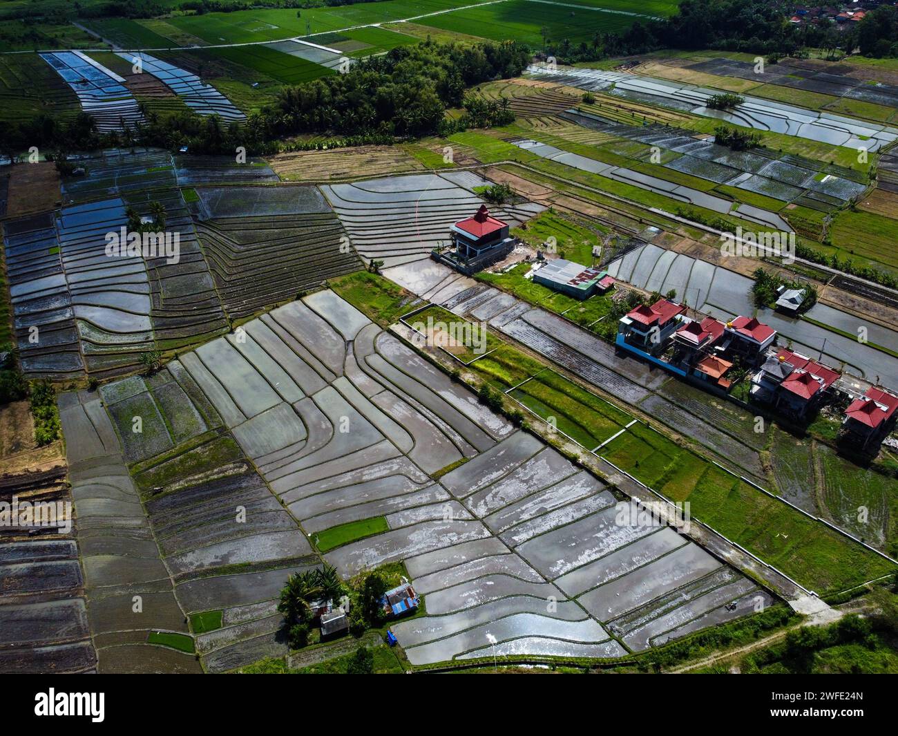 Jatiluwih rice terraces drone bali hi-res stock photography and images ...