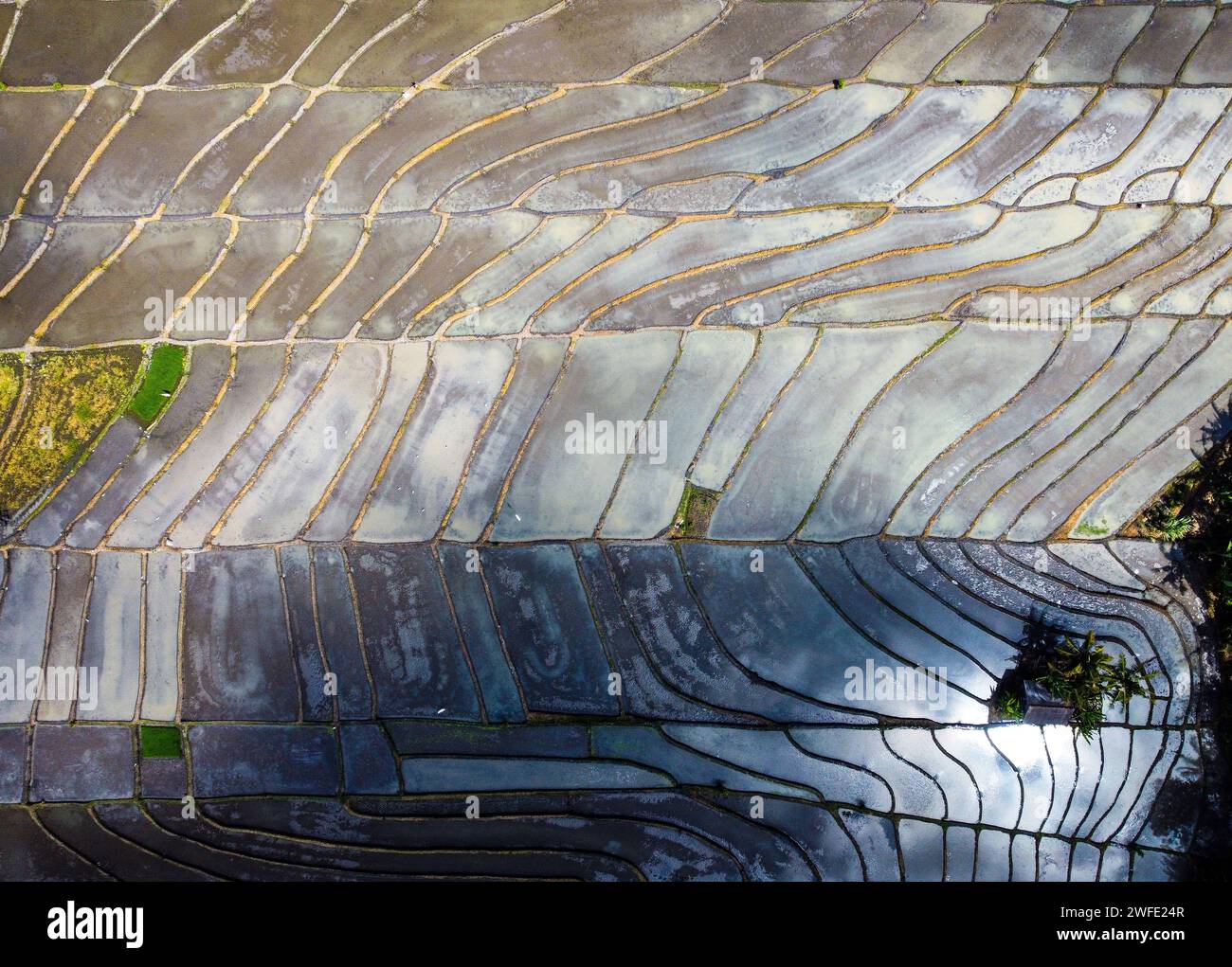 Jatiluwih rice terraces drone bali hi-res stock photography and images ...