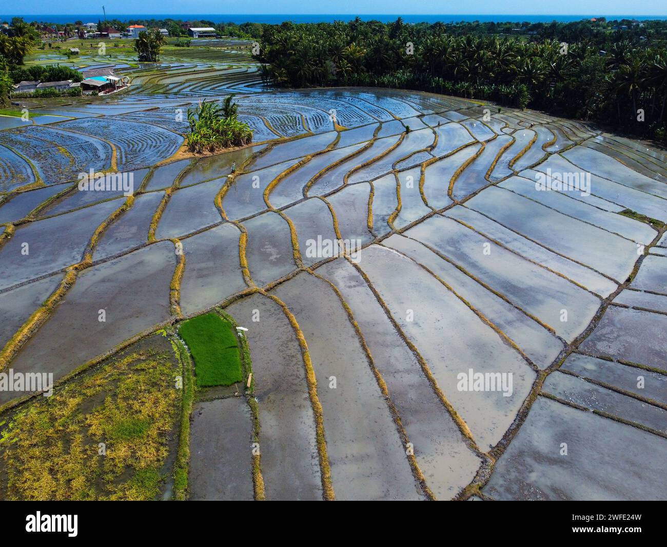 Aerial view lush terrace hi-res stock photography and images - Alamy