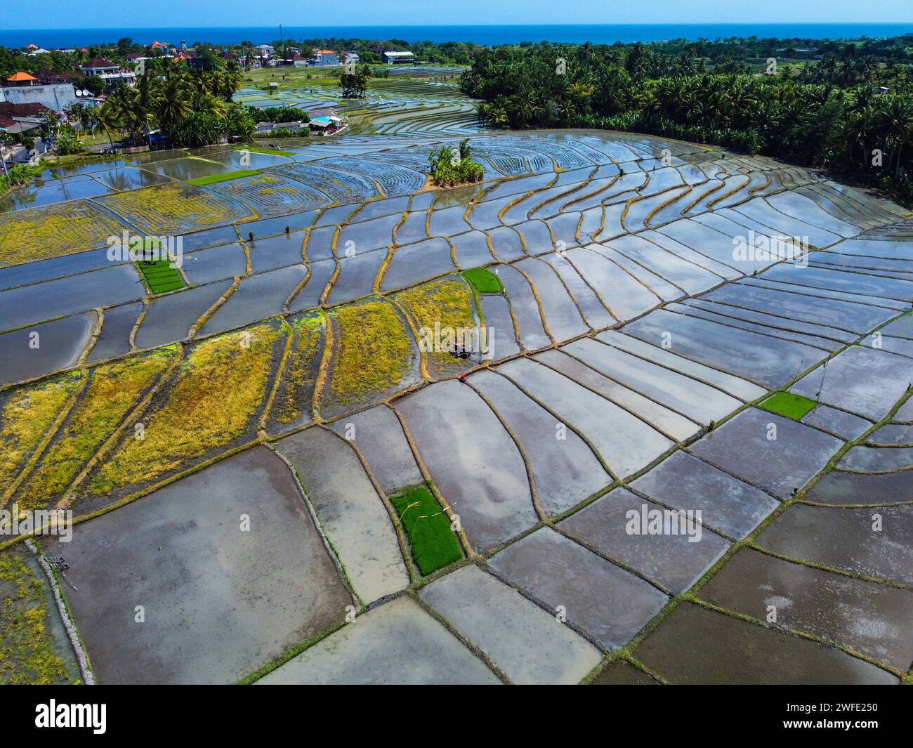 Aerial view lush green hilly hi-res stock photography and images - Alamy