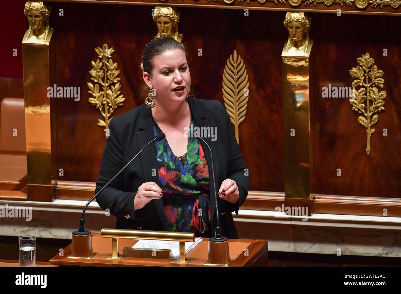 Paris, France. 30th Jan, 2024. French Member of Parliament and ...