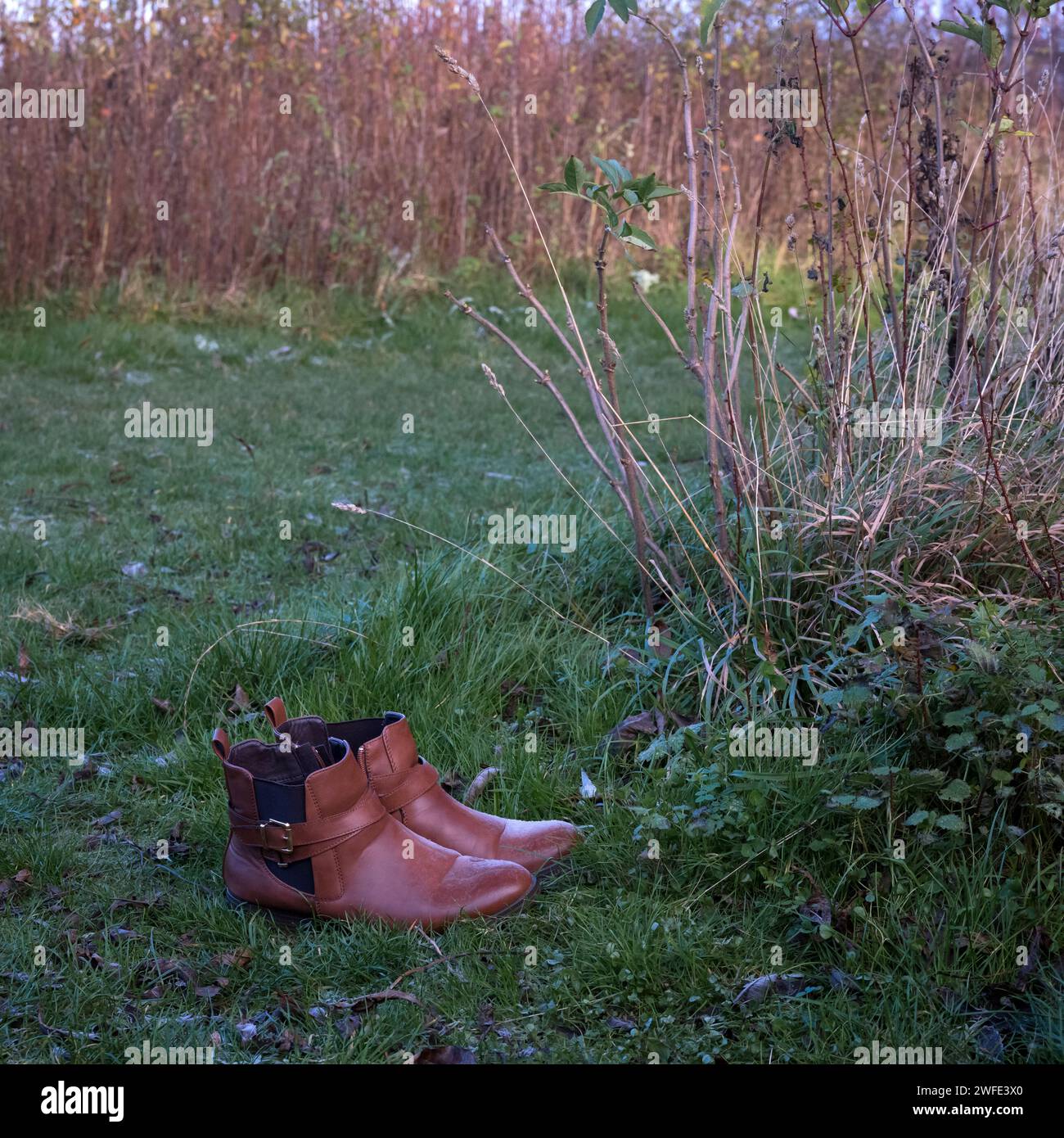 Woman find shoes hi-res stock photography and images - Alamy