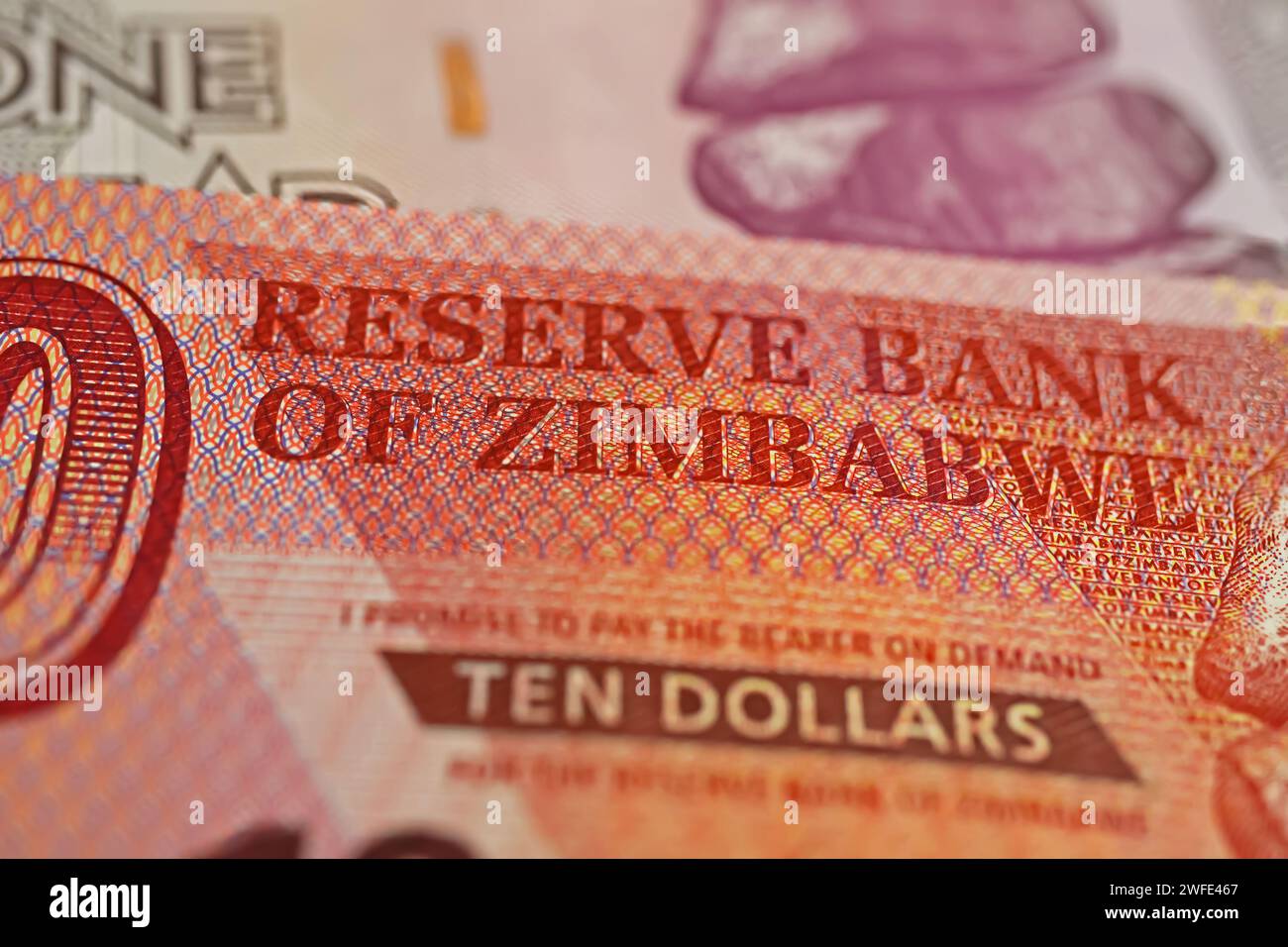 Closeup of Reserve bank of Zimbabwe dollar banknote Stock Photo - Alamy