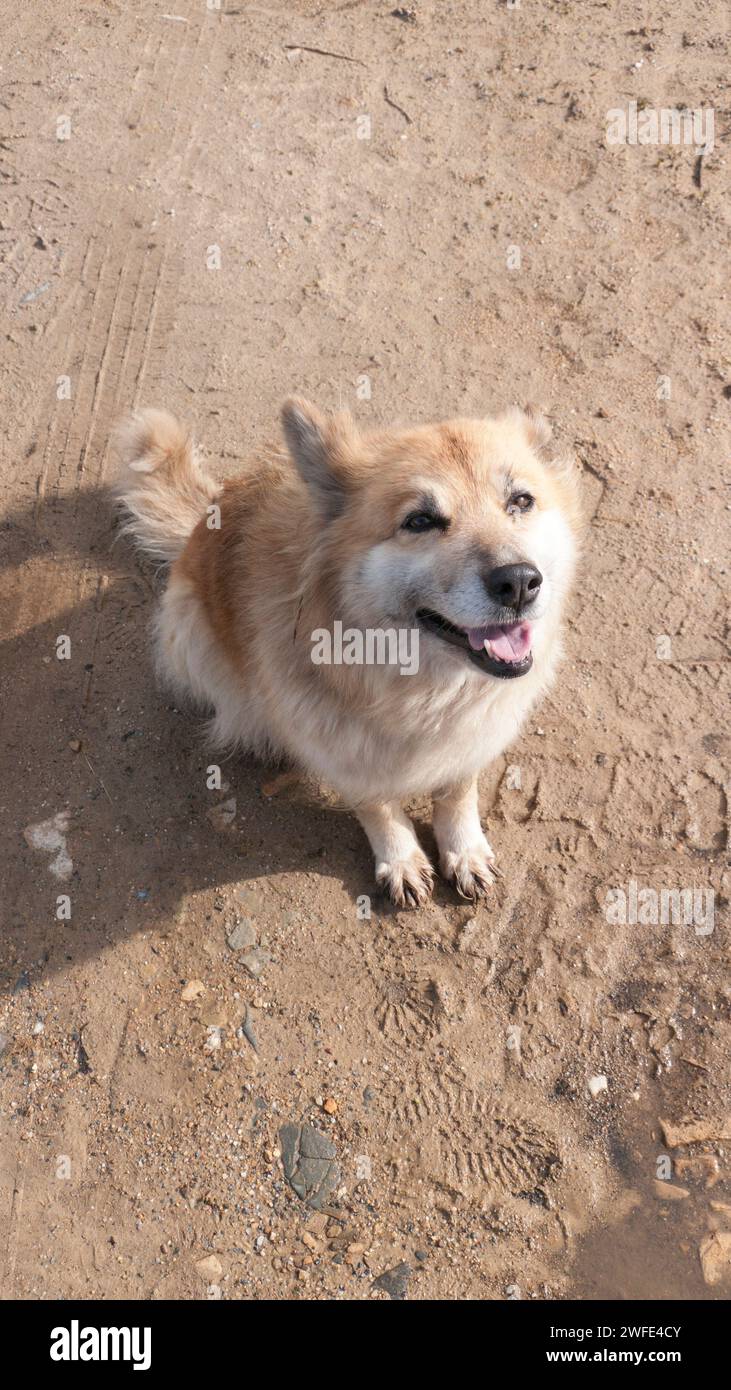Ground sitting hi-res stock photography and images - Alamy