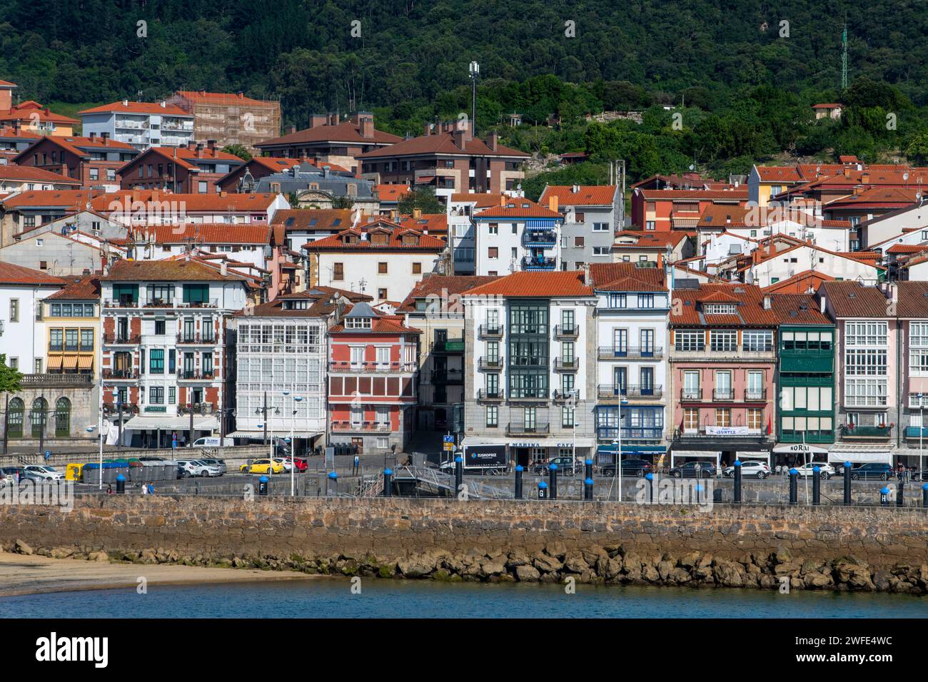 Lekeitio goose hi-res stock photography and images - Alamy