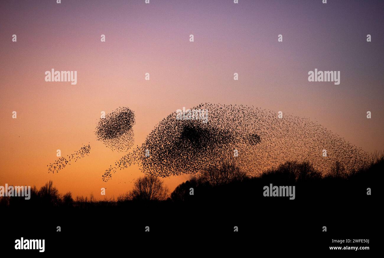 Holme Pierrepont, Nottinghamshire, UK. 30th January, 2024. A general ...