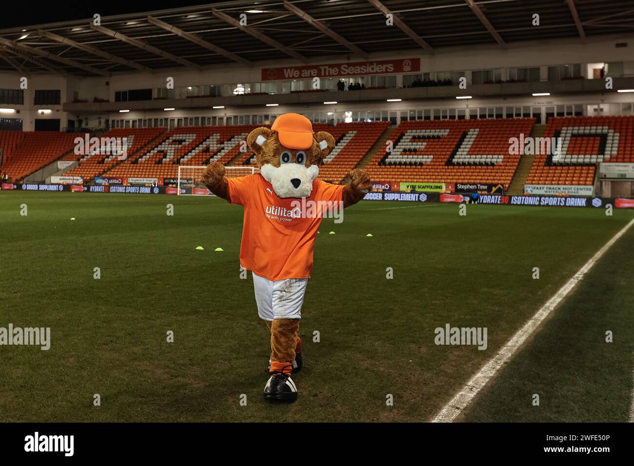 Blackpool, UK. 30th Jan, 2024. Bloomfield bear during the Bristol ...