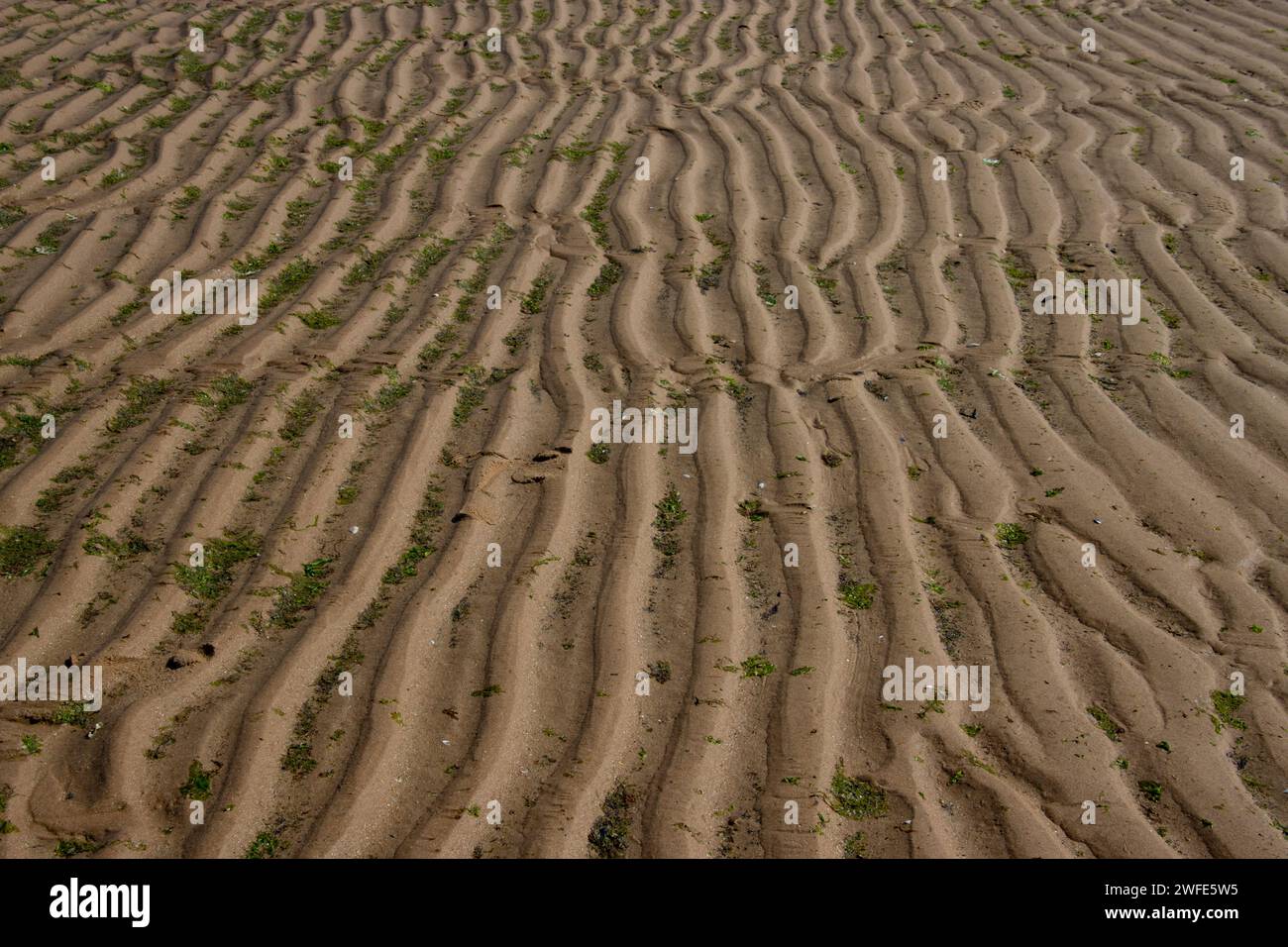 Natural sand pattern at a beach for background Stock Photo - Alamy