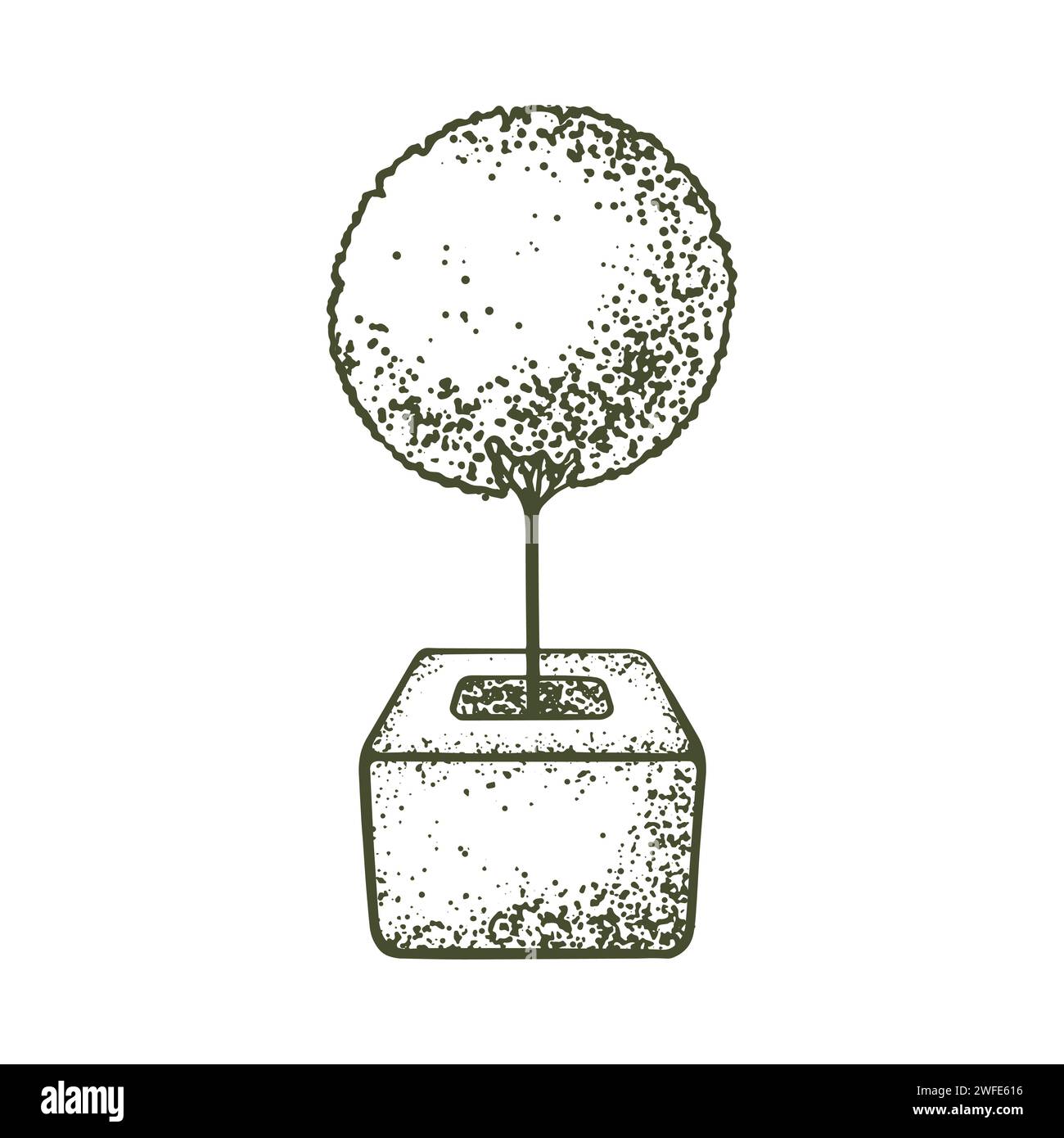 Sketch of topiary coniferous trees. Sheared thuja on a stem. Geometric ...