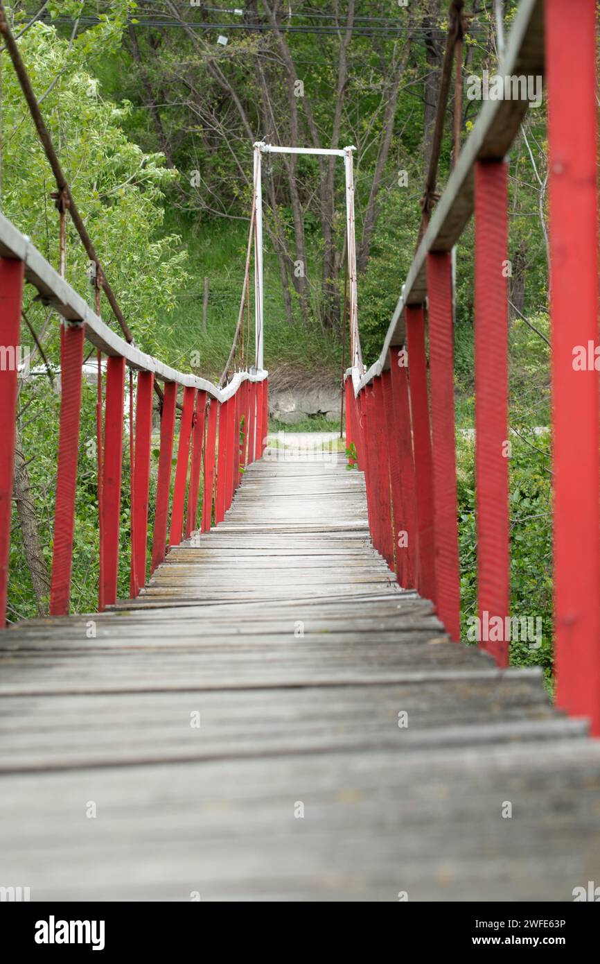 Lemn tree hi-res stock photography and images - Alamy