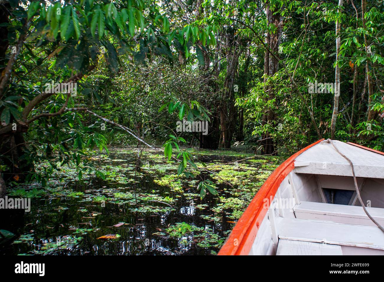 Amazon river Expedition by boat along the Amazon River near Iquitos ...
