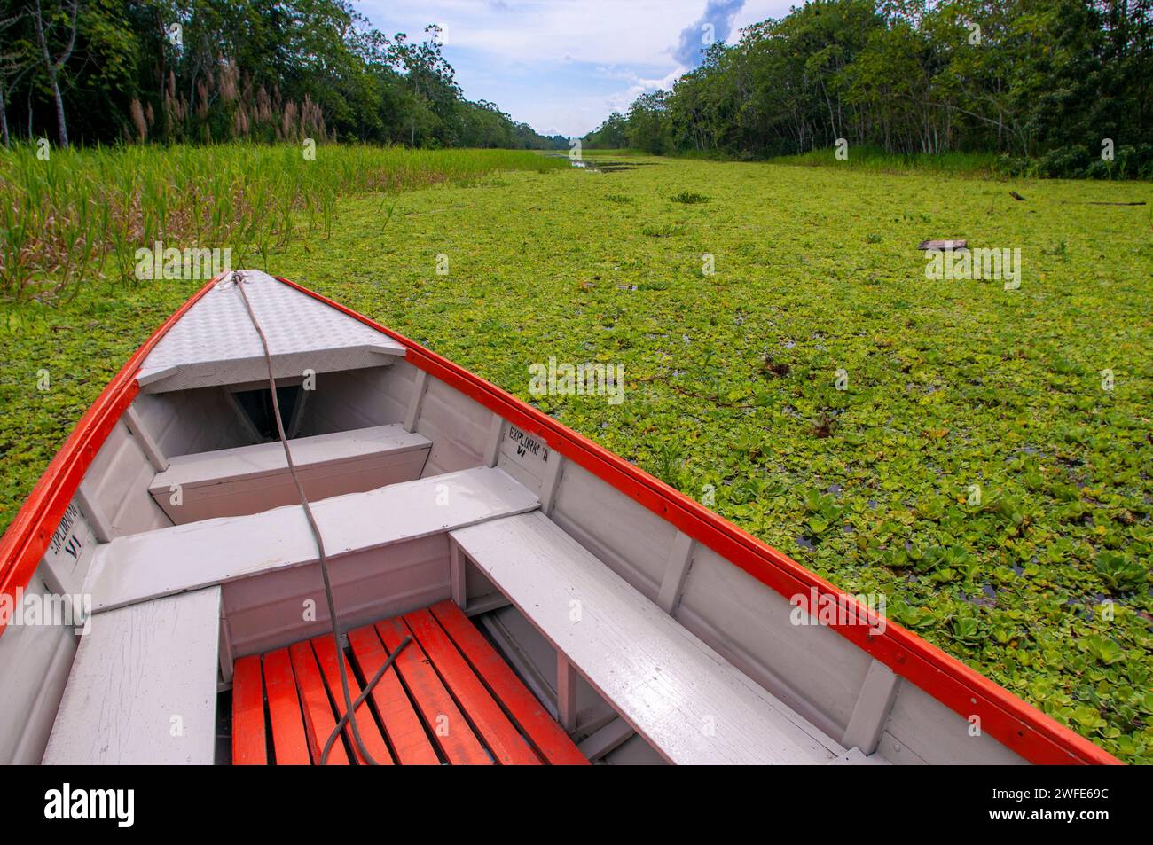 Amazon river Expedition by boat along the Amazon River near Iquitos ...