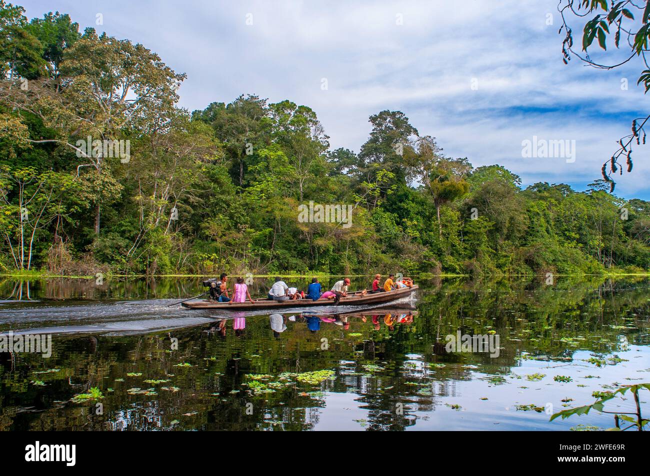 Purus peru hi-res stock photography and images - Alamy