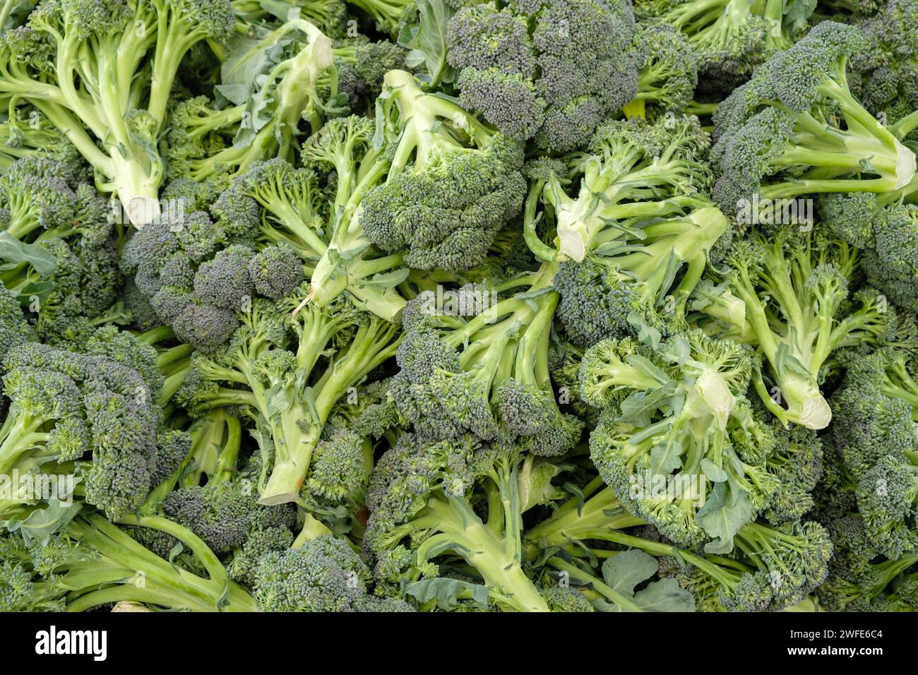 Green broccoli background as a healthy eating concept Stock Photo - Alamy
