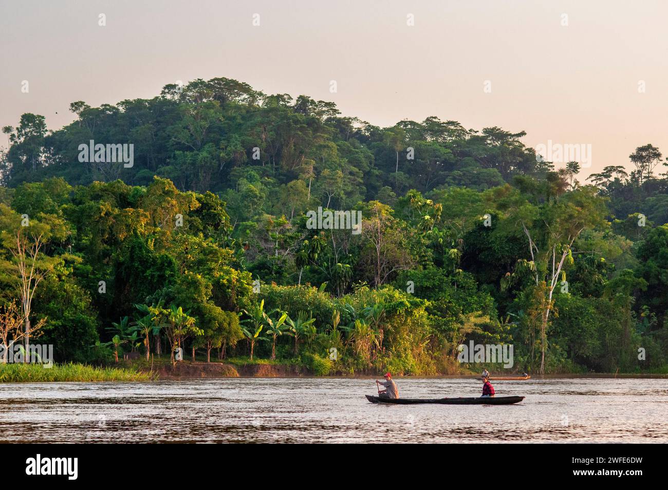 Purus peru hi-res stock photography and images - Alamy