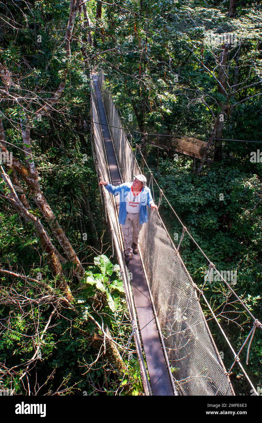 Elevated canopy walk hanging bridges. A rain forest canopy walkway in ...