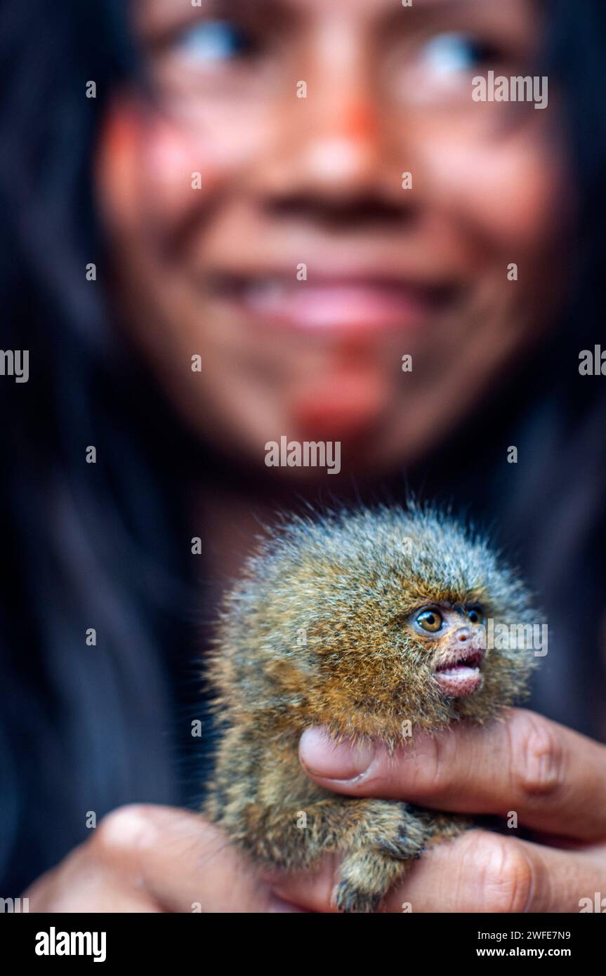 Pet pygmy marmoset Yagua Indians living a traditional life near the ...