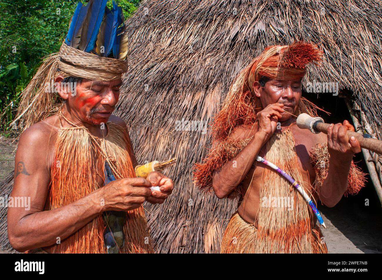 Hunting blow dart, Yagua Indians living a traditional life near the ...