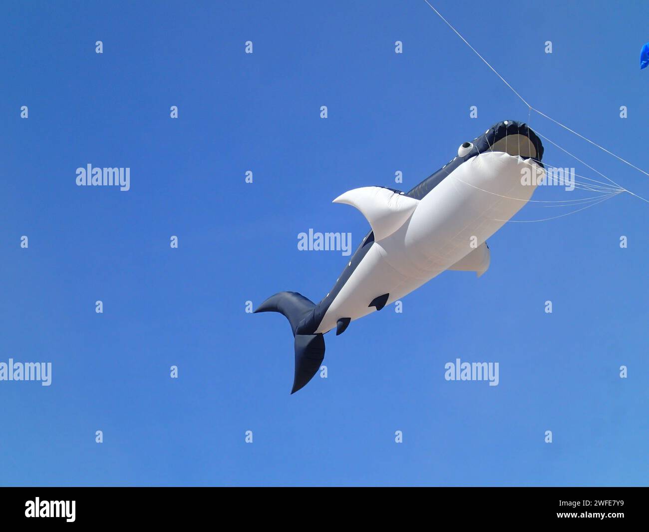 Cerf volant hi-res stock photography and images - Alamy