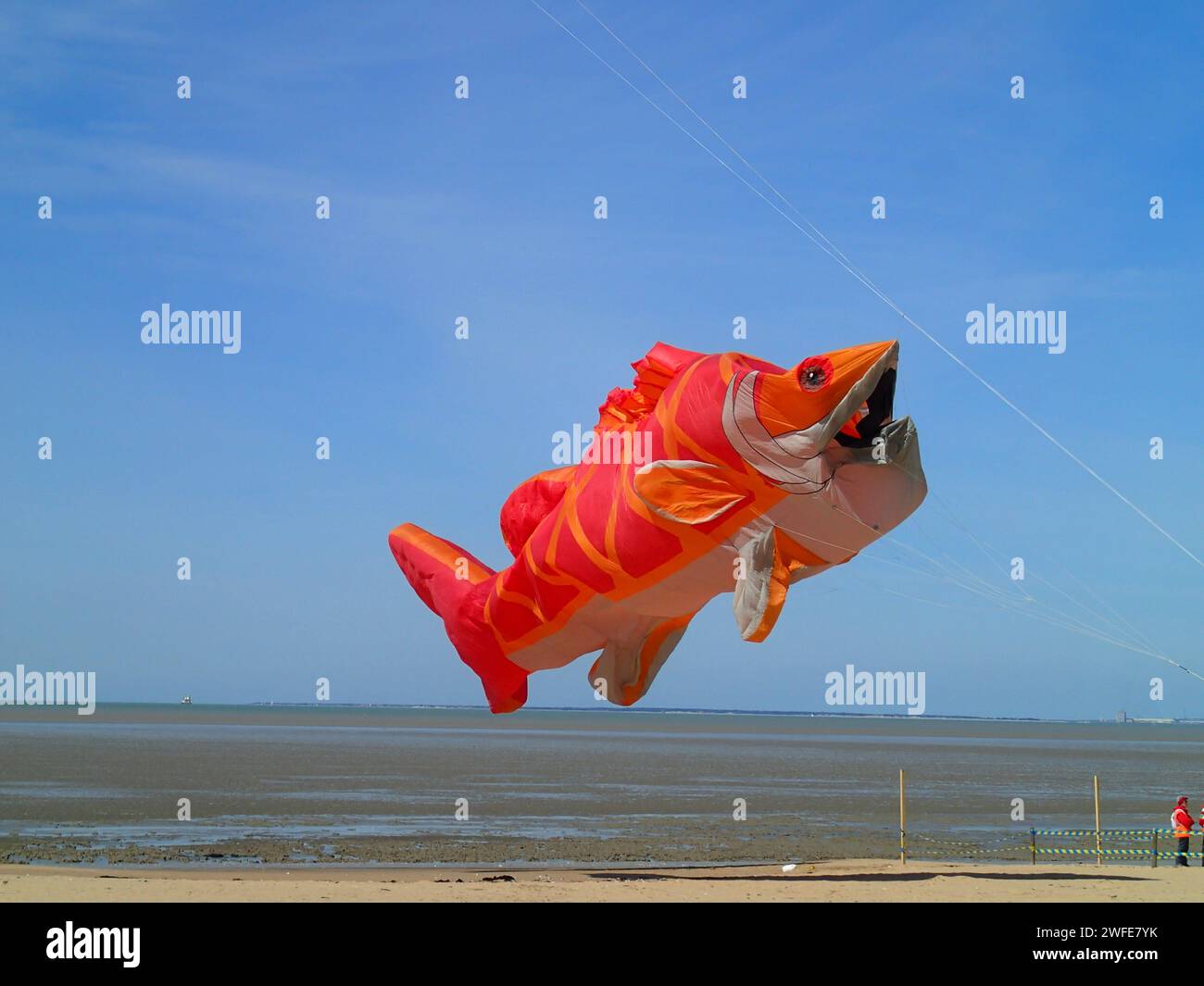Cerf volant hi-res stock photography and images - Alamy