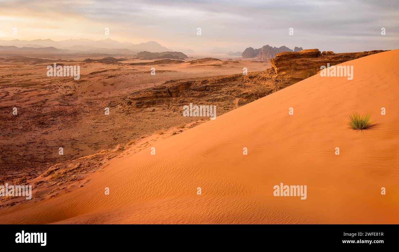 Jordanian jordan hi-res stock photography and images - Alamy
