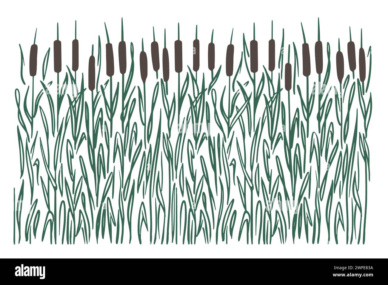Wetland garden Stock Vector Images - Alamy