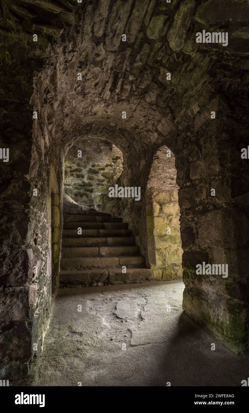 hallway in a historic castle Stock Photo - Alamy