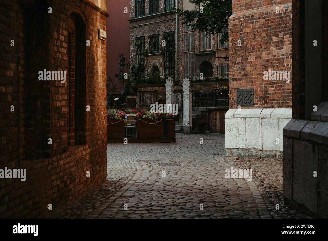 A vibrant street corner illuminated by contrasting lights Stock Photo ...