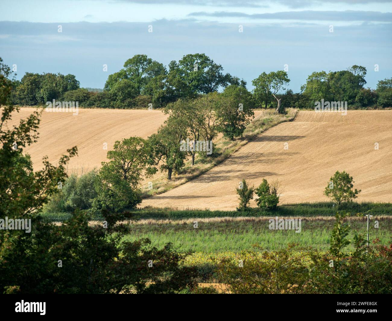 Tree lined hi-res stock photography and images - Alamy