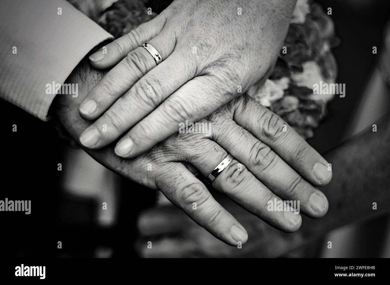 Wedding rings hands hi-res stock photography and images - Alamy