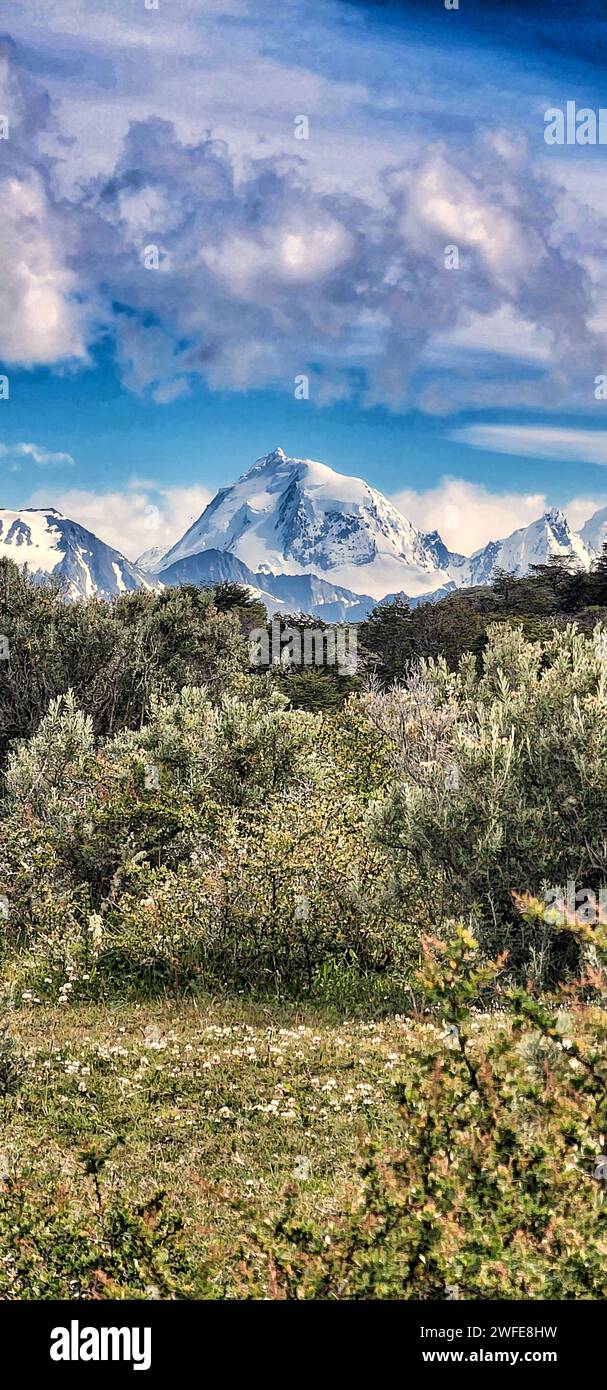 A vast expanse of grassland with lush vegetation and a magnificent ...