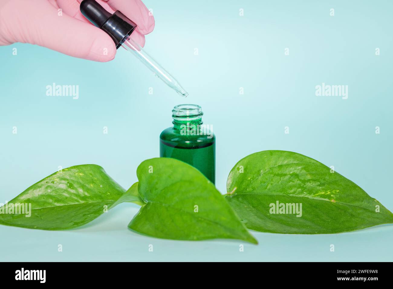 Research on natural medicines, learning about green medicine ...