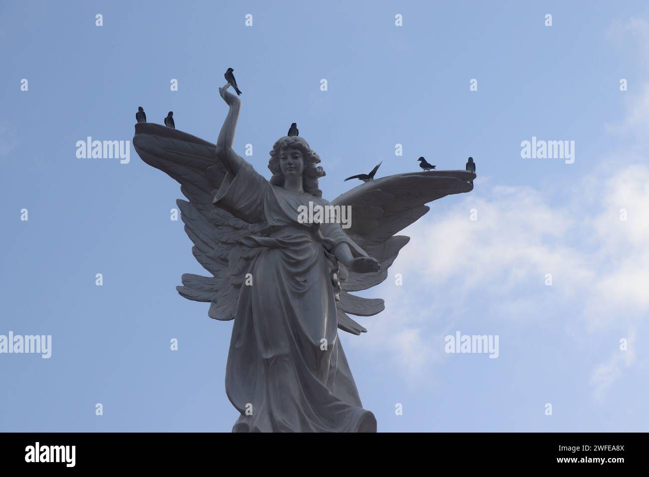Statue of an angel with birds on top Stock Photo - Alamy