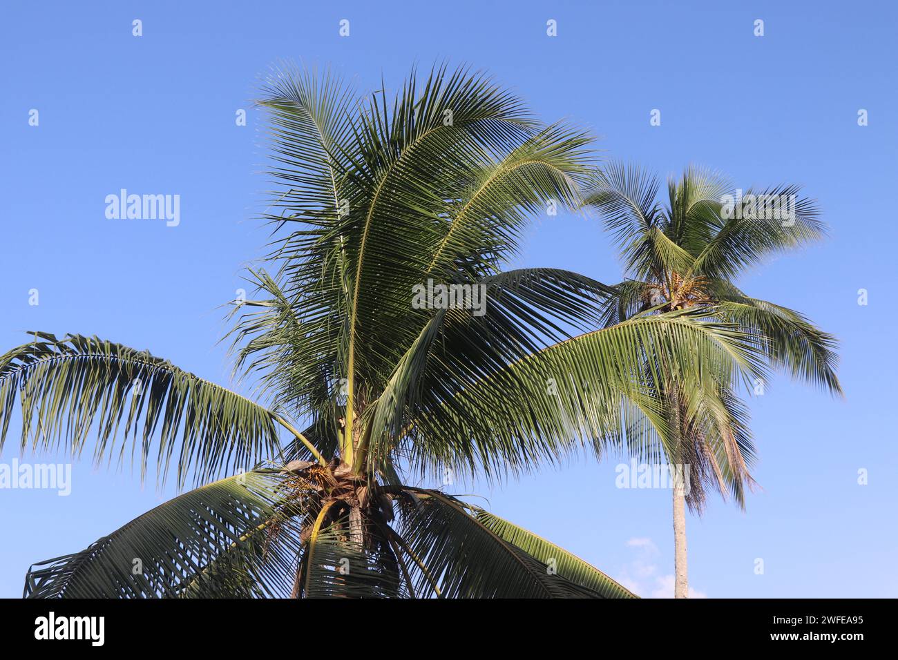 Visitpanama hi-res stock photography and images - Alamy