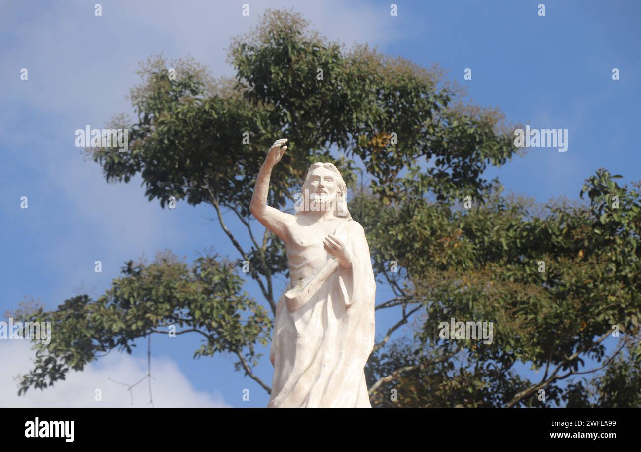Statute of Christ the Redeemer with tree Stock Photo - Alamy