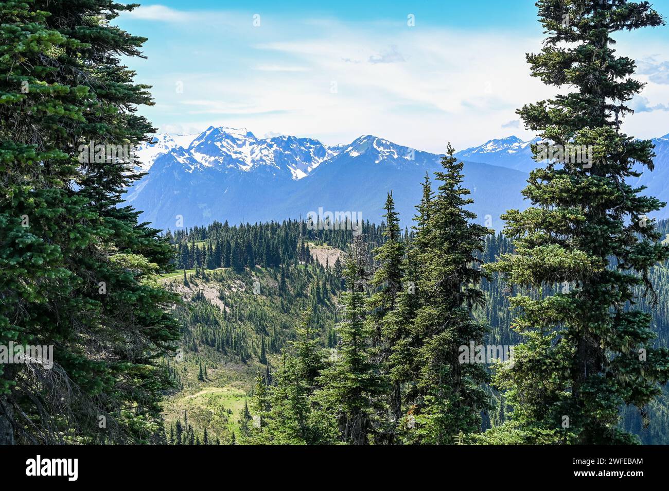A scenic view of Hurricane Ridge in Olympic National Park, Washington ...