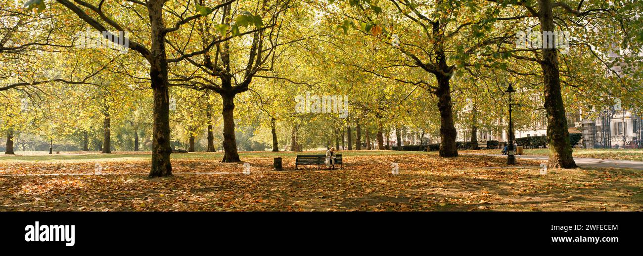London bench hi-res stock photography and images - Alamy