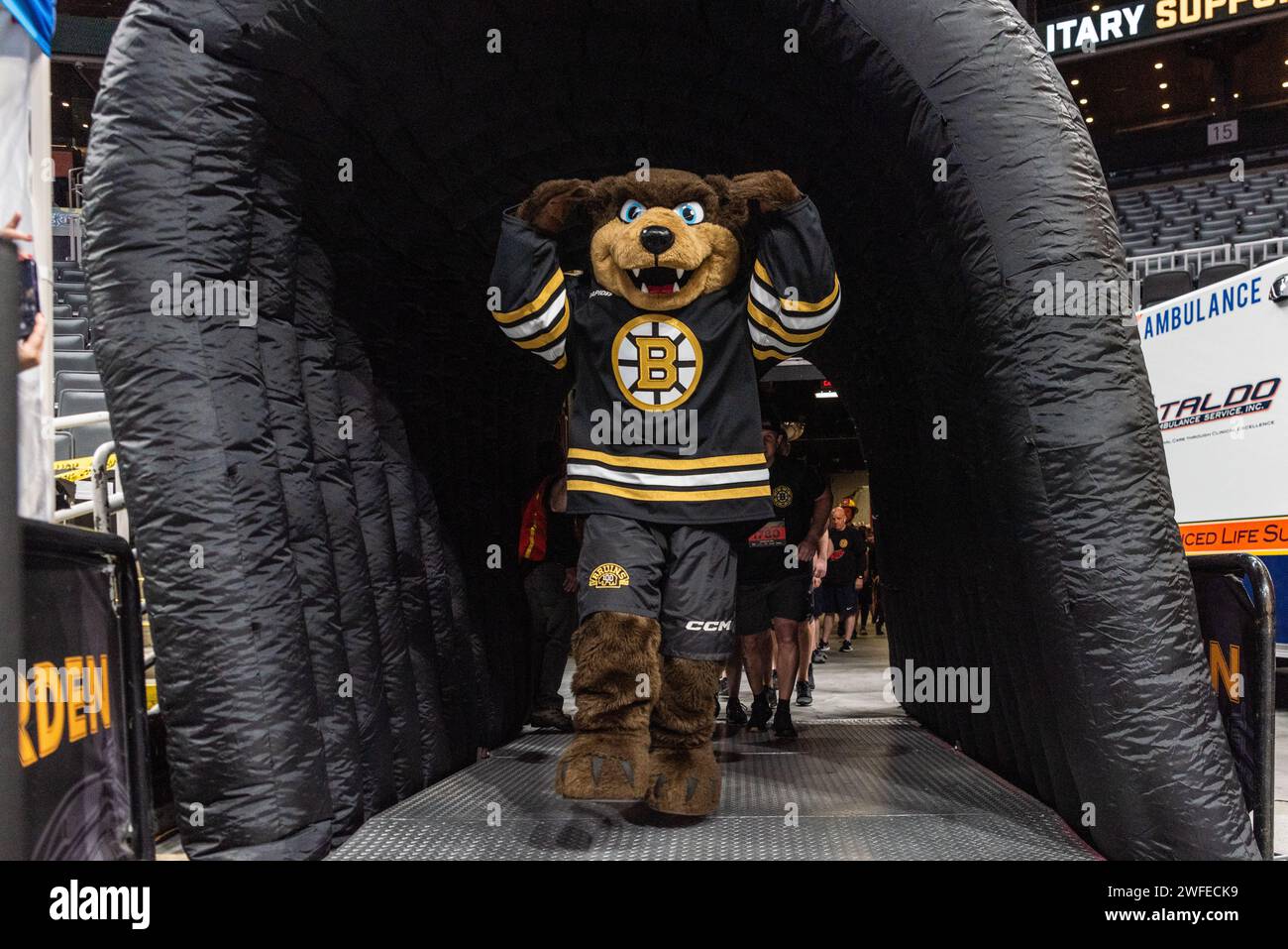 Boston bruins bfit challenge hi-res stock photography and images - Alamy