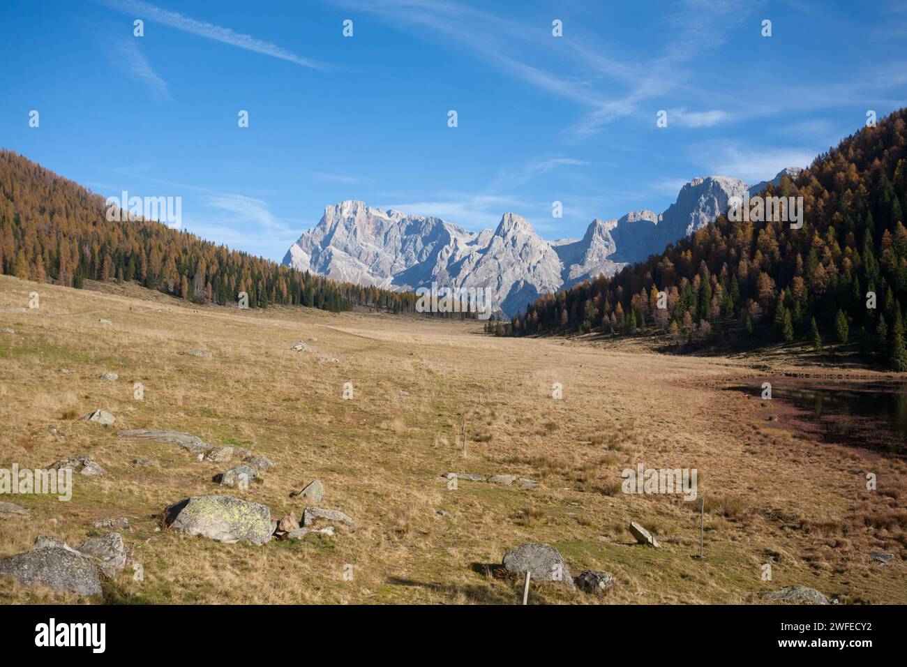 Alpine meadow with dolomites in background, Calaita lake area in autumn ...
