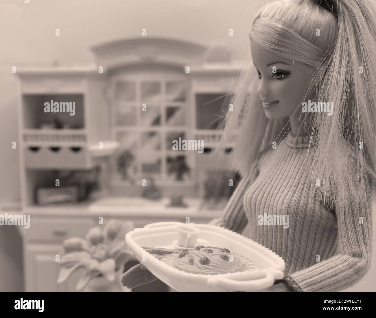 Barbie box hi-res stock photography and images - Alamy