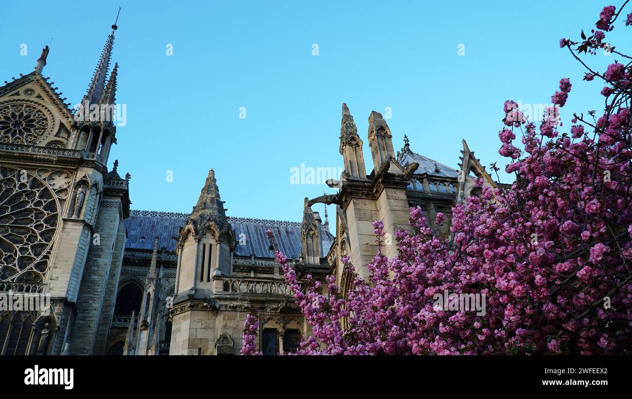 Catedral de notre dame de paris hi-res stock photography and images - Alamy Catedral de notre dame de paris hi-res stock photography and images - Alamy