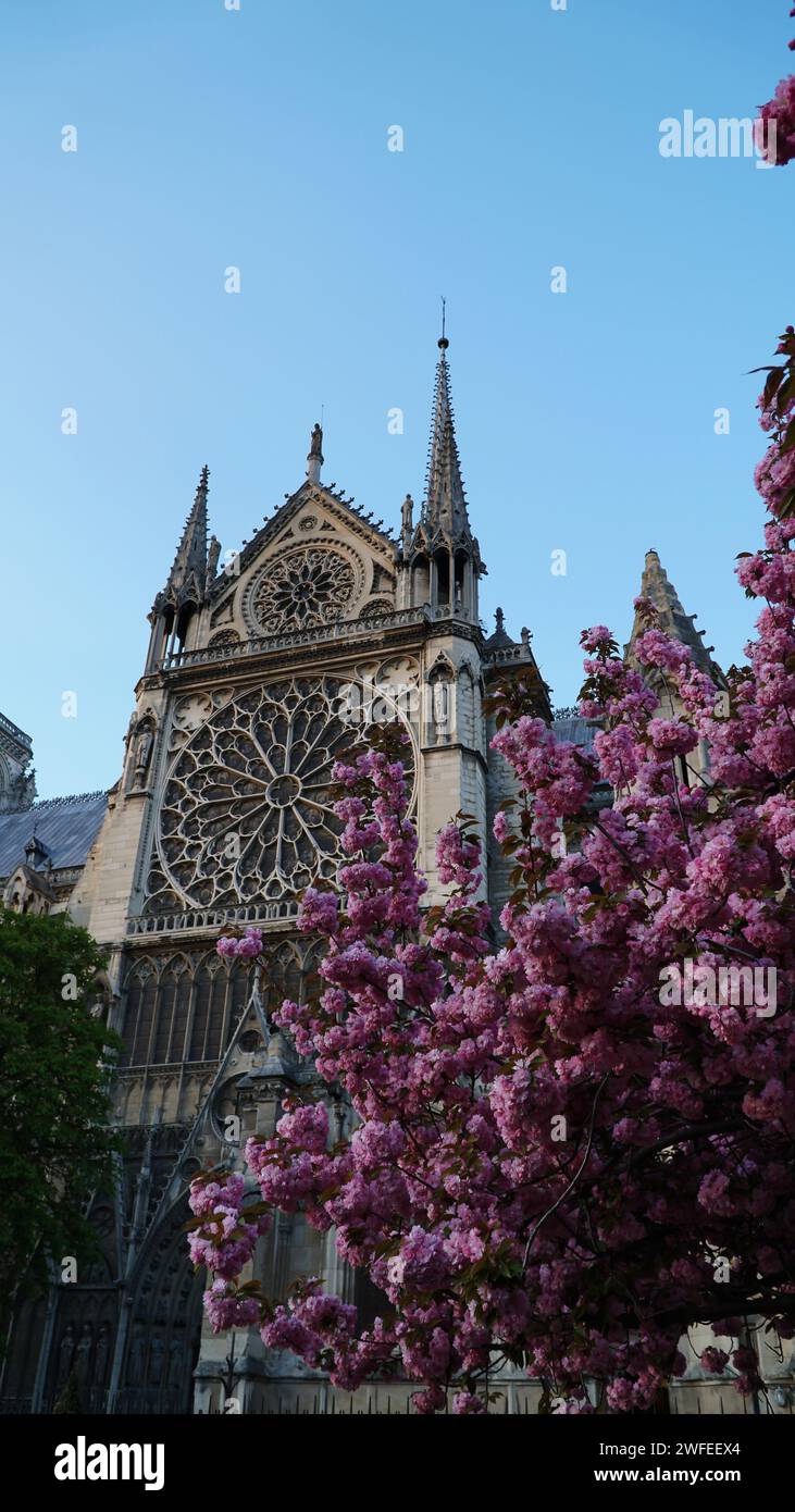 Catedral de notre dame de paris hi-res stock photography and images - Alamy