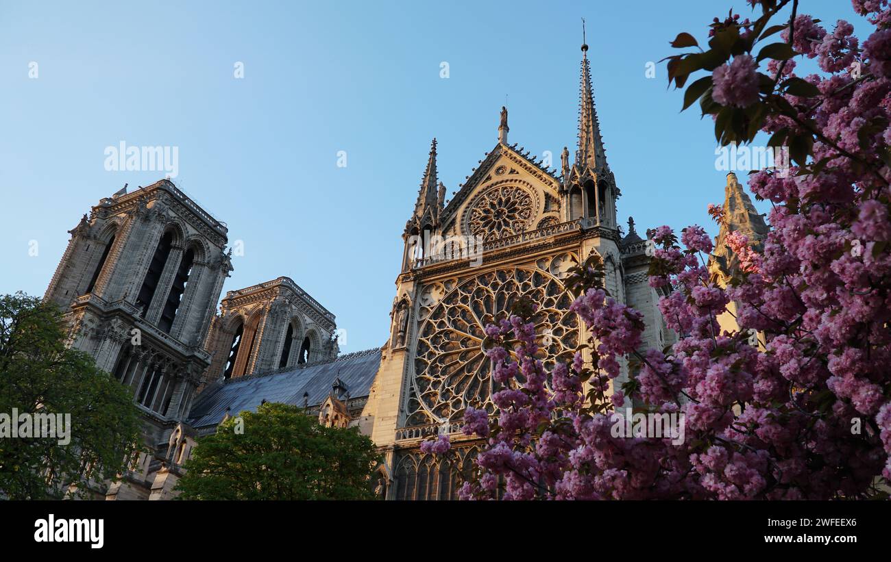 Catedral de notre dame de paris hi-res stock photography and images - Alamy